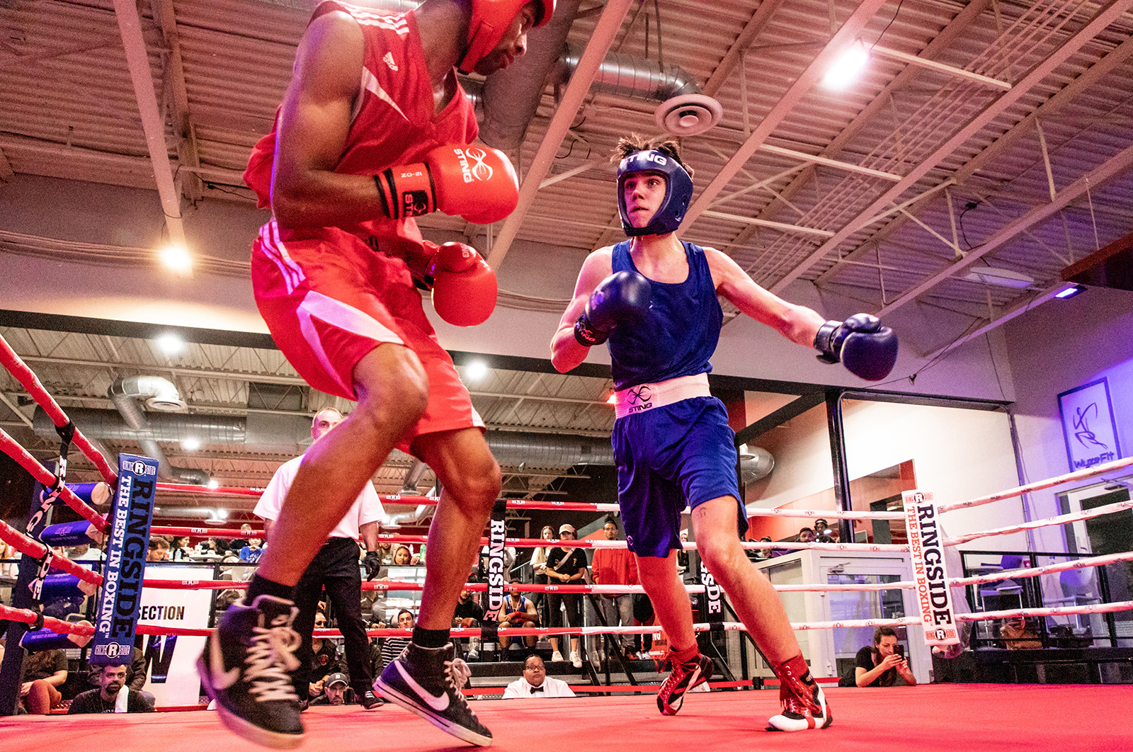 The Eye Of The Tiger – windsorlife.com